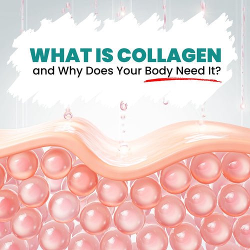 What Is Collagen and Why Does Your Body Need It? – IMMUNOSCIENCES