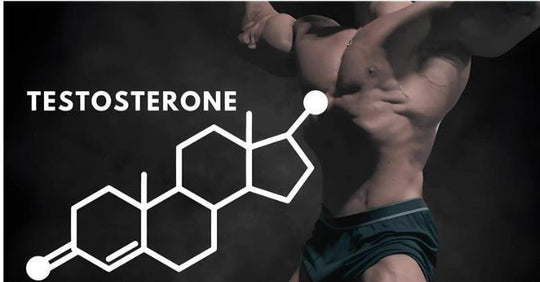 7 Natural Ways to Increase Testosterone Levels Quickly – IMMUNOSCIENCES